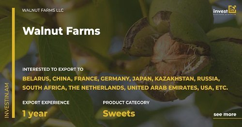 Walnut Farms Premium Walnut 1kg
