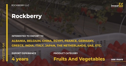 Rockberry Sonsation Strawberry high-value varieties 250g